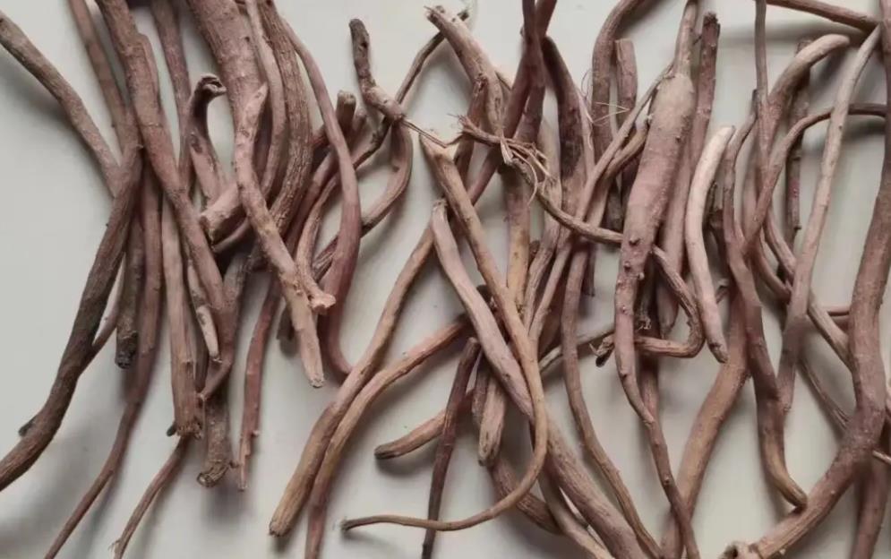 Radix Paeoniae Rubra: What Is It, Benefits, and More - Health Facts Time