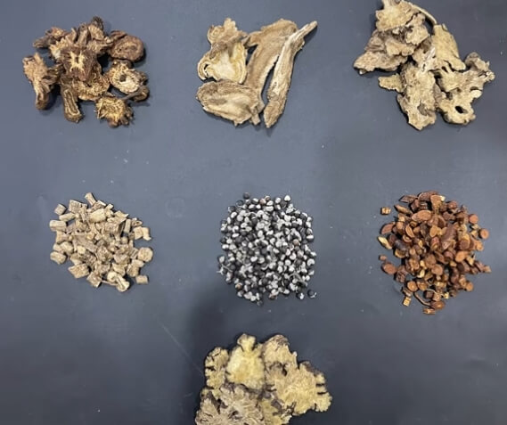 Qiang Huo Sheng Shi Tang(羌活胜湿汤) - Health Facts Time