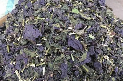 Dried Shiso: A Flavorful Herb with Surprising Health Benefits - Health ...