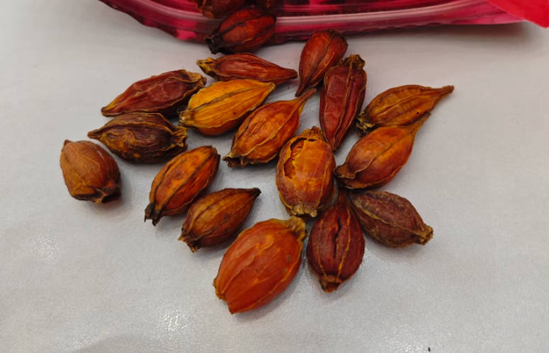 Gardenia Fruit Benefits: Facts and Research - Health Facts Time