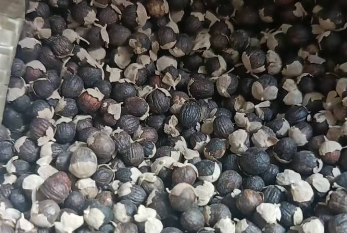 Man Jing Zi (蔓荆子): What It Is, Benefits, and Uses - Health Facts Time