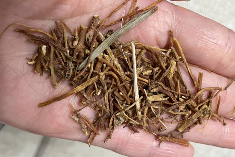 Long Dan Cao (龙胆草): What Is It, Benefits, and Risks - Health Facts Time