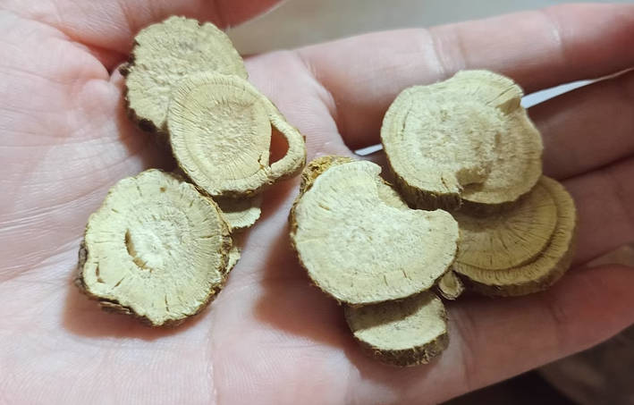 Ku Shen (Sophora Flavescens): What It Is, Benefits, and Risks - Health ...