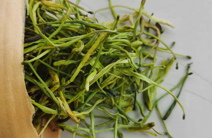 Jin Yin Hua (金银花) Herb: What It Is, Benefits, and Risks - Health Facts Time