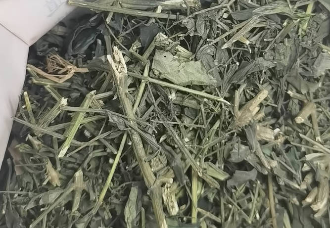 Chuan Xin Lian (Andrographis Paniculata): Benefits, and Risks - Health ...