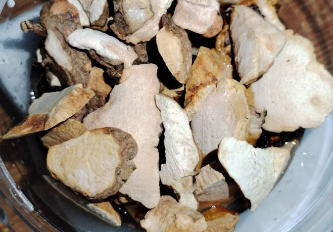 Tu Fu Ling (Smilax Glabra) Herb: What It Is, Benefits, and Risks ...