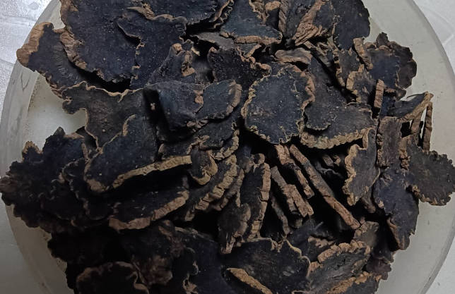 Xuan Shen (Scrophularia ningpoensis): What It Is, Benefits, and Risks ...