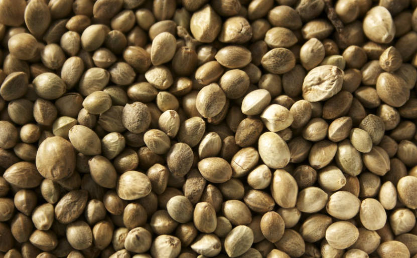 Are Hemp Seeds Low FODMAP: Research and Facts - Health Facts Time