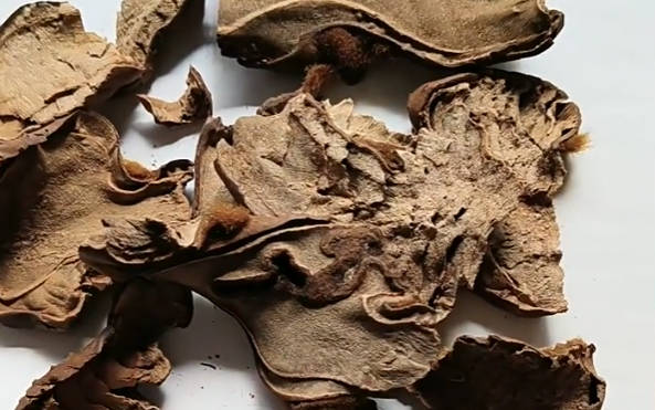 Gouji (Cibotium barometz): What It Is, Benefits, Uses, and Risks ...