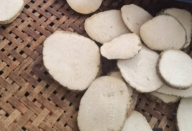 Alismatis Rhizoma (Ze xie) Herbal: What It Is, Benefits and More ...