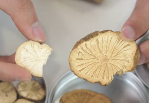 Isotrema Fangchi(Guang Fang Ji): What it is, Uses and Risks - Health ...