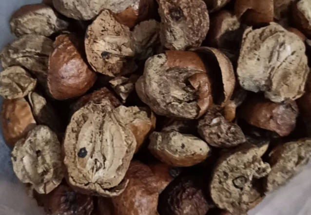 Chuan Lian Zi (Toosendan Fructus): Benefits, Risks, and More - Health ...