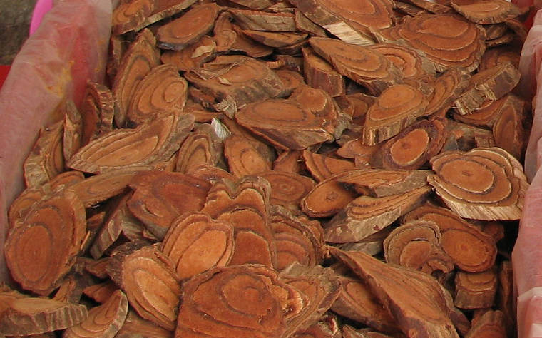 Suberect Spatholobus Stem (Spatholobi Caulis) in TCM: Benefits, Uses ...