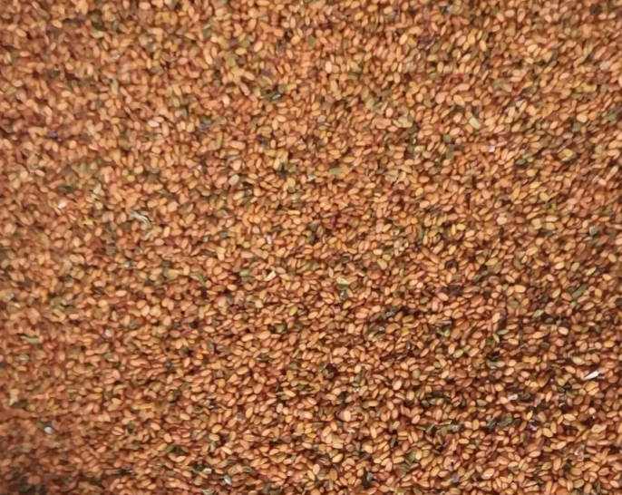 Pepperweed Seed (Ting Li Zi): What It Is, Benefits, Uses, and Risks ...