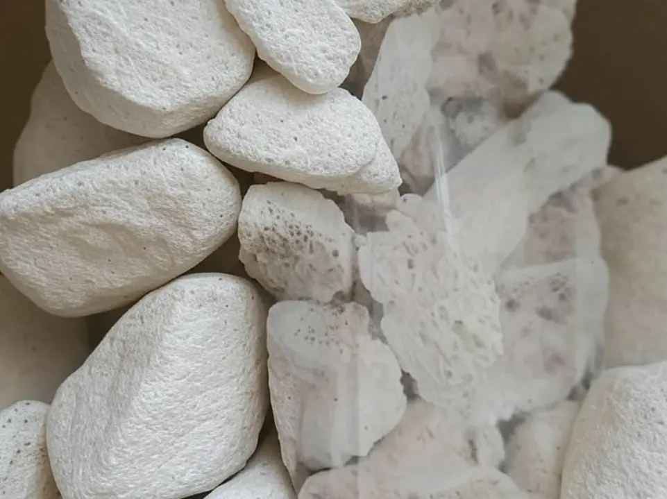 Long Gu (Os Draconis): What It Is, Benefits, Uses, and Risks - Health ...