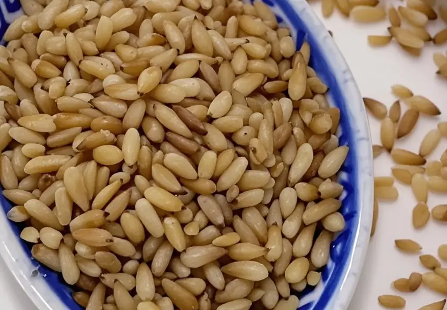 Chinese Arborvilae Seed (Bai Zi Ren): What It Is, Benefits, Uses, and ...